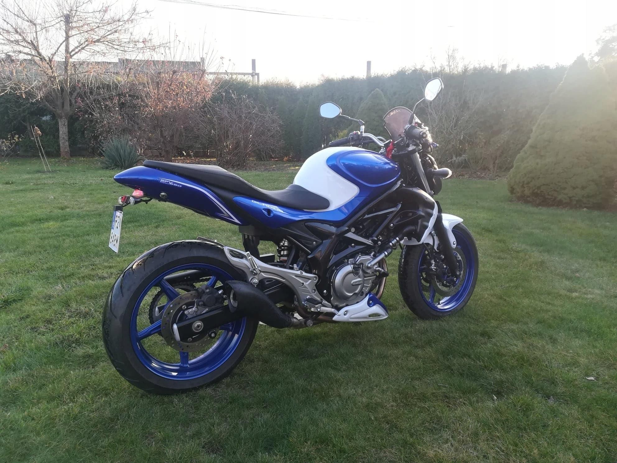 SUZUKI MOTORCYCLES Gladius 650 (WVCX) - Opinie i ceny na Ceneo.pl