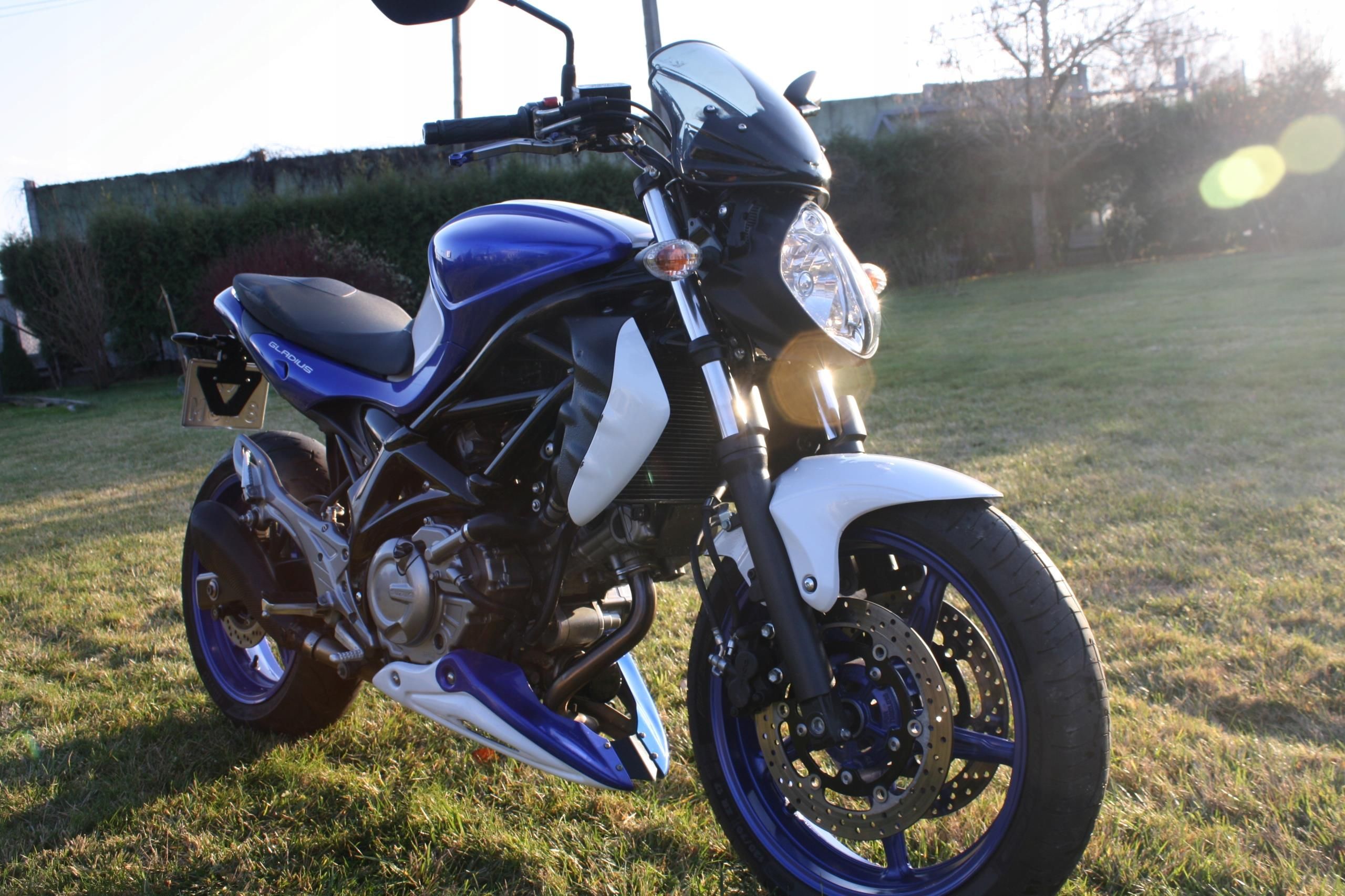 SUZUKI MOTORCYCLES Gladius 650 (WVCX) - Opinie i ceny na Ceneo.pl