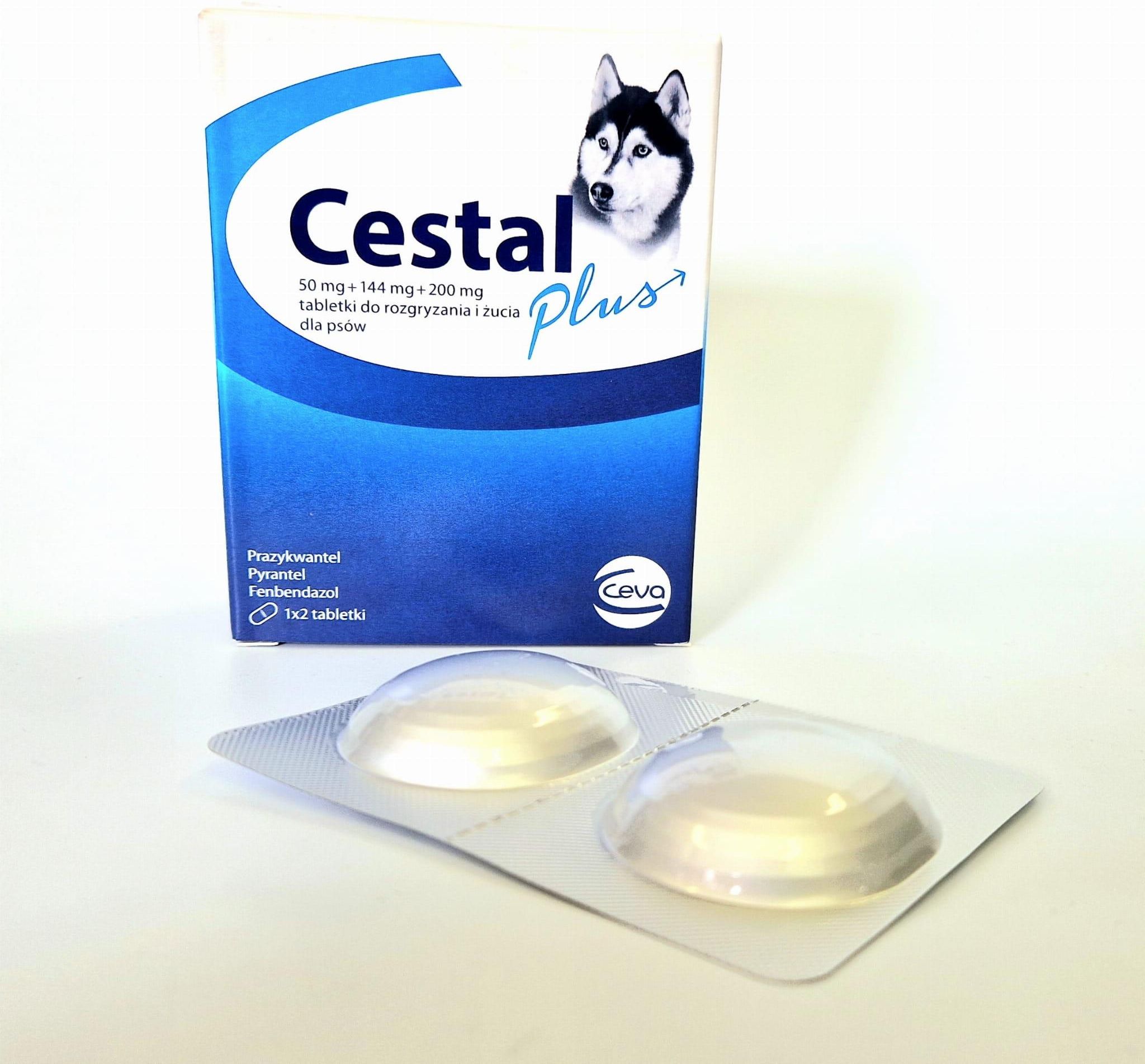 Ceva Cestal Plus Dla Psa Tabletki Do Rozgryzania I Żucia Na ...