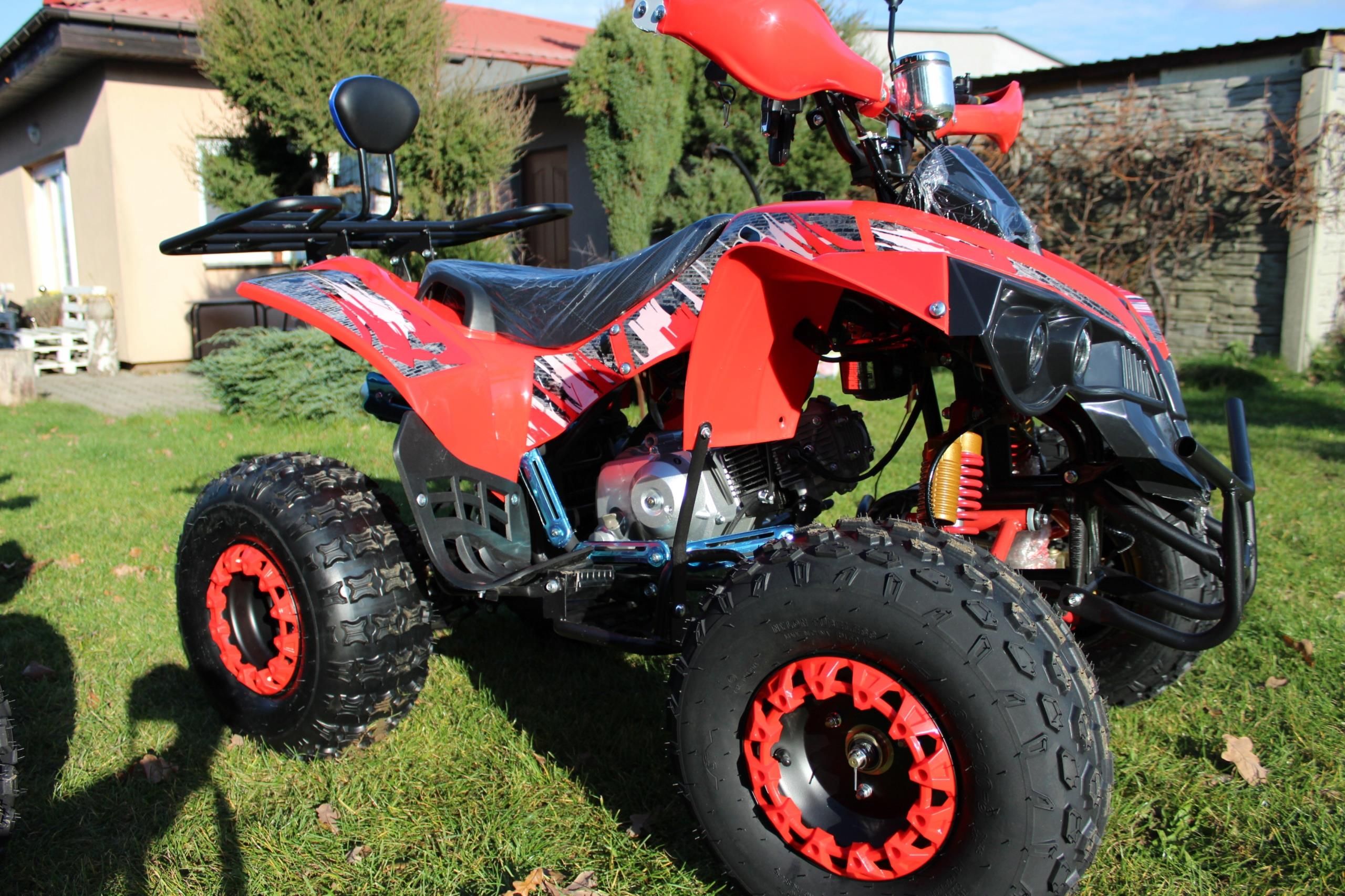 QUAD 125 CC Model Varia PRO XXL 2020 Gratisy!!! - Opinie i ceny na Ceneo.pl