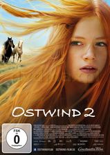 Film DVD Windstorm 2 (Wicher 2) [DVD] - Ceny i opinie - Ceneo.pl