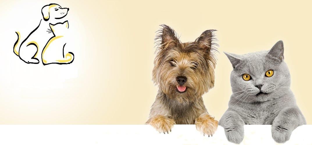 Karma Tropidog Kaczka Duża Średnia Rasa 12Kg - Ceny i opinie - Ceneo.pl