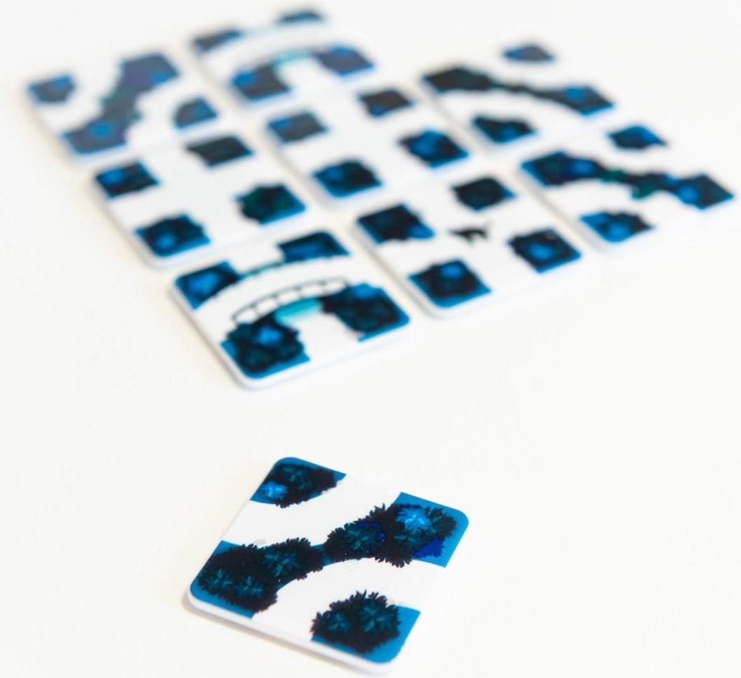 Smart Games Magic Forest (ENG) IUVI Games - Gra dla dziecka - Ceny i ...