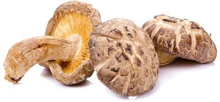 Grzyby shiitake suszone 100g - EAT - Ceny i opinie - Ceneo.pl