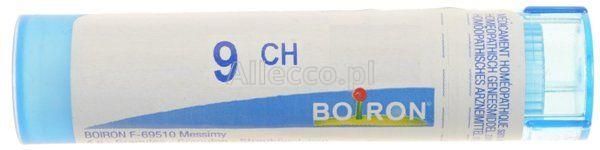 Lek homeopatyczny Boiron Conium Maculatum 9CH 4 g - Opinie i ceny na ...