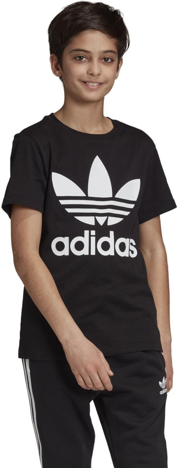 KOSZULKA ADIDAS TREFOIL TEE DV2905 - Ceny i opinie - Ceneo.pl