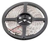 GTV TAŚMA FLASH 2835, 600 LED ZIMNY BIAŁY, 60W, WODOODPORNA 10MM, ROLKA 5M, 12V (2 KABLE ...