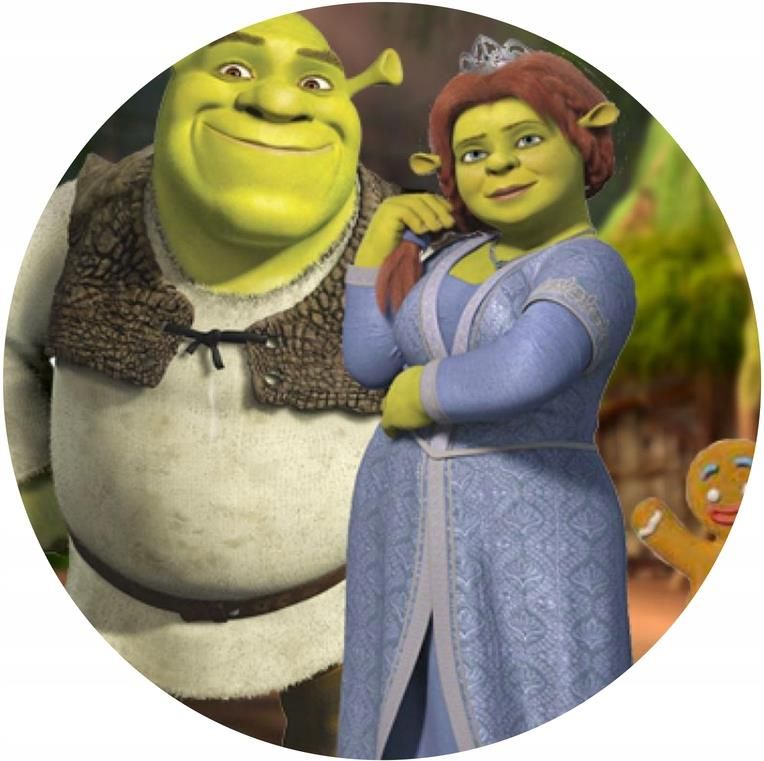 Shrek Fiona Ogry bajka gruby opłatek - Ceny i opinie - Ceneo.pl