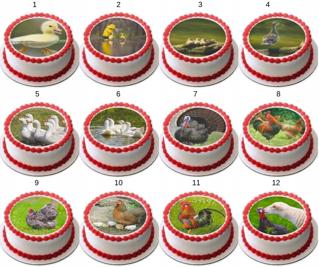 Opłatek na tort Krowa Lizotka 20CM - Ceny i opinie - Ceneo.pl