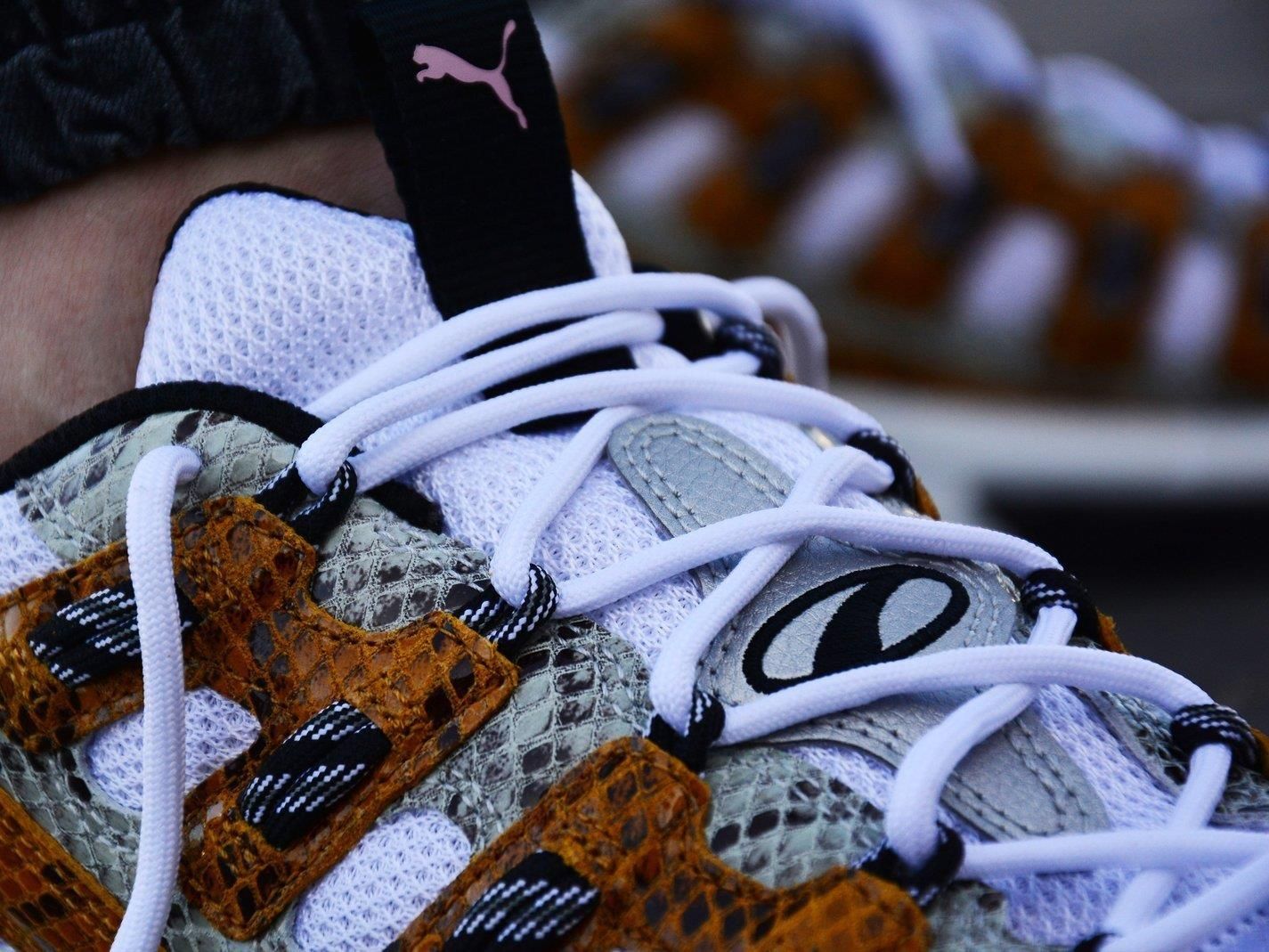 Buty Puma Cell Endura Animal Kingdom (370926-01) - Ceny i opinie - Ceneo.pl