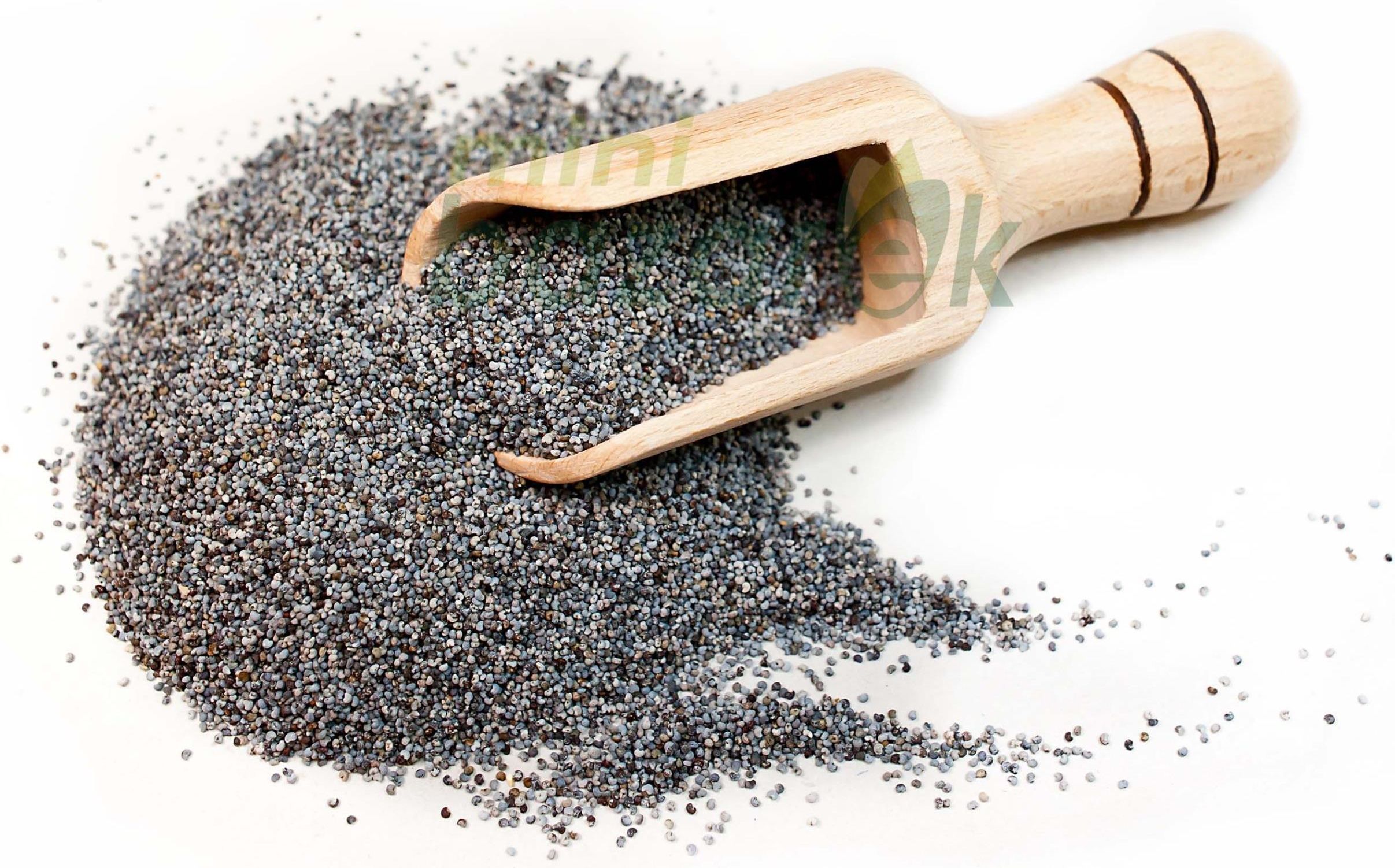 Mak Niebieski 1kg Polski - Ceny i opinie - Ceneo.pl