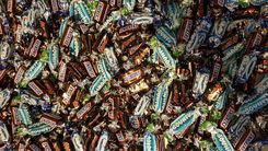 Cukierki Mini SNICKERS,MARS,BOUNTY,MilkyWay 0,9kg - Ceny i opinie ...