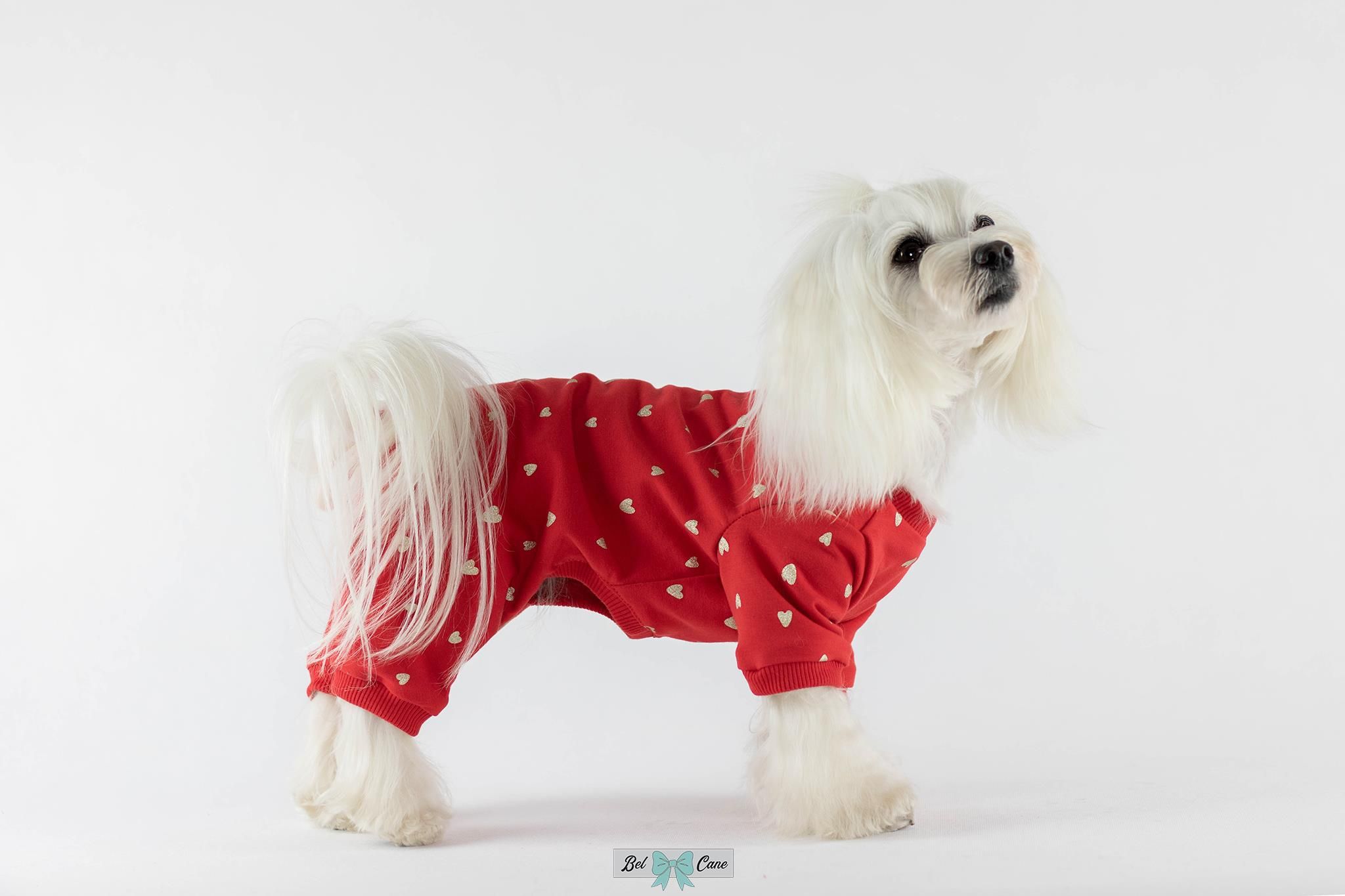 Bel Cane Ubranko dla psa kombinezon Deep Love Xs - Ceny i opinie - Ceneo.pl