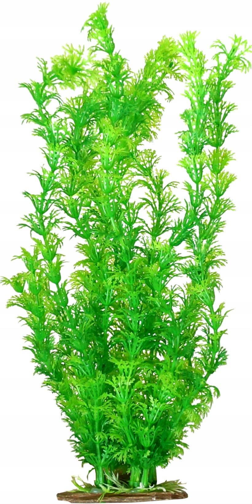 Roślinka sztuczna do akwarium długa ok 34 cm - Ceny i opinie - Ceneo.pl
