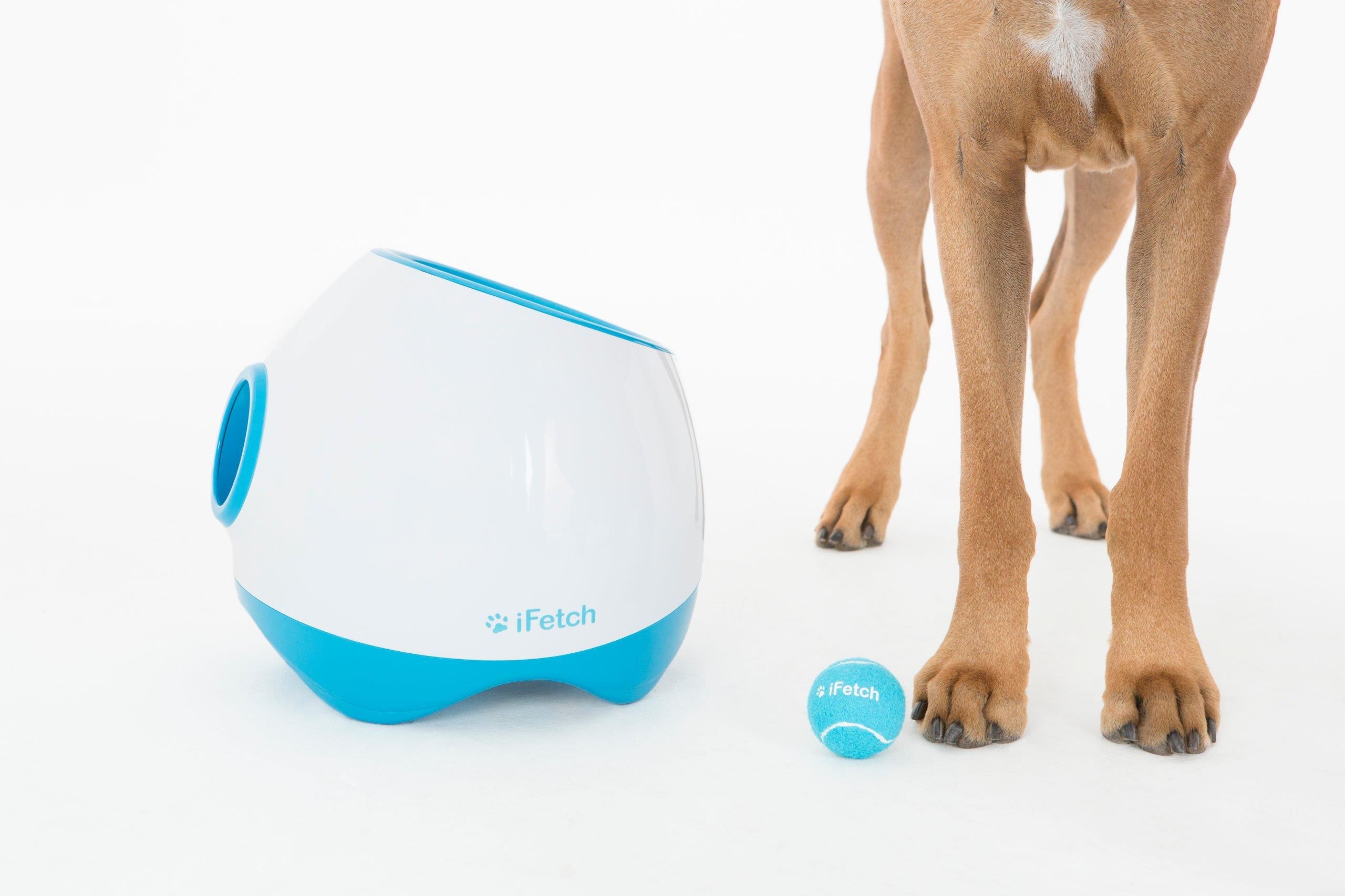 IFetch Too automatyczna wyrzutnia piłek - Ceny i opinie - Ceneo.pl