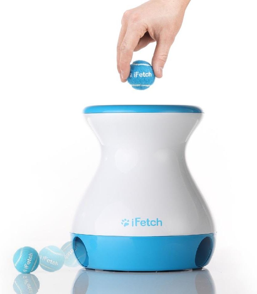 IFetch Frenzy dynamiczna gra umysłowa dla psów - Ceny i opinie - Ceneo.pl