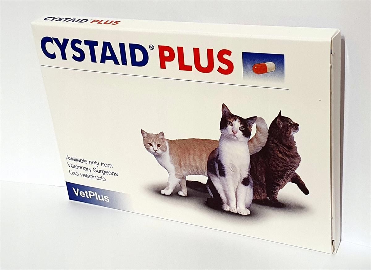 Cystaid Plus Koty 30kaps. pęcherz, układ moczowy - Ceny i opinie - Ceneo.pl