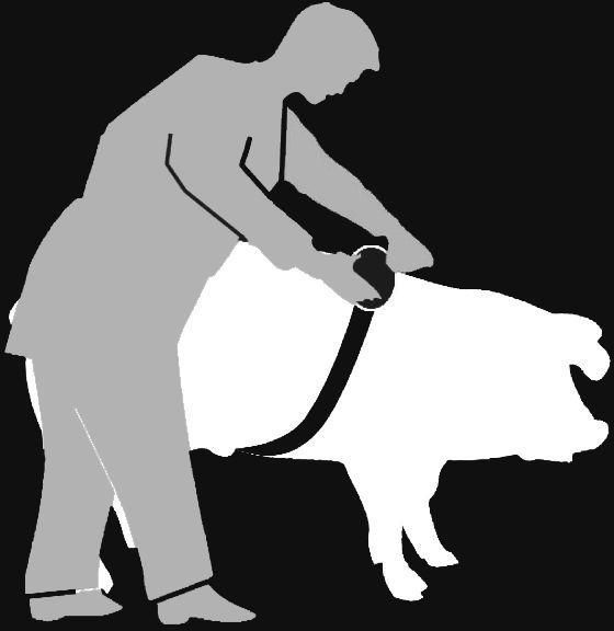 2,5m Miara Zoometryczna Do Pomiaru Trzody Chlewnej - Ceny i opinie ...