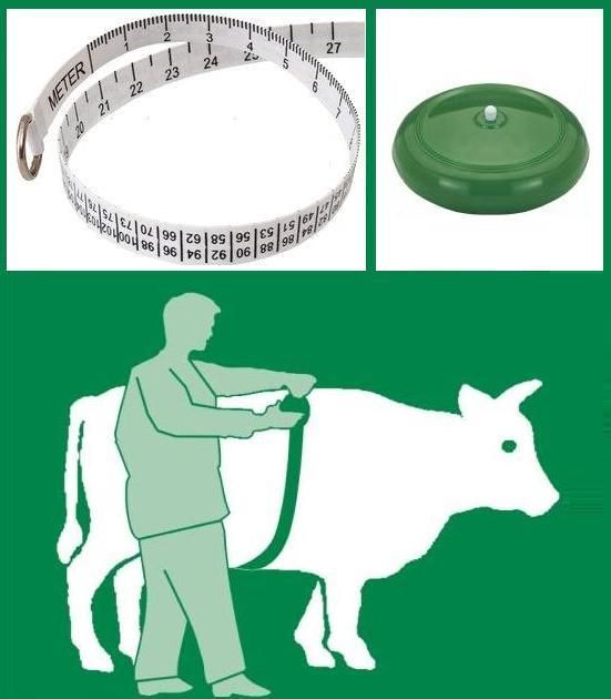2,5m Miara Zoometryczna Do Pomiaru Trzody Chlewnej - Ceny i opinie ...