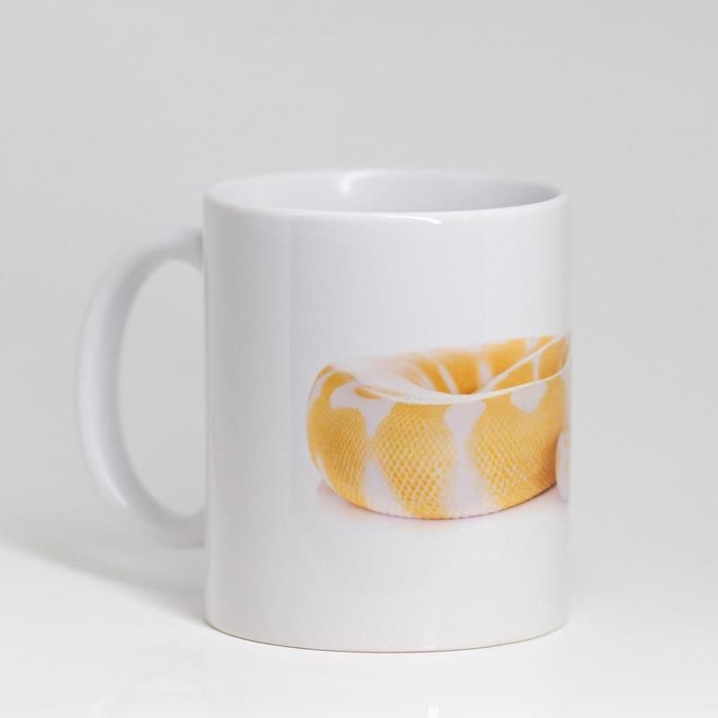 Kubek Pyton Królewski Albino Regius Wąż Terrarium - Ceny i opinie ...