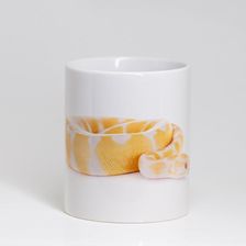 Kubek Pyton Królewski Albino Regius Wąż Terrarium - Ceny i opinie ...