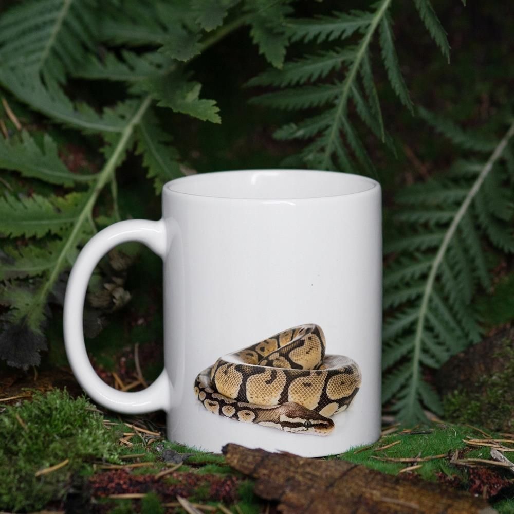 Kubek Wąż Pyton Królewski Python Regius Terrarium - Ceny i opinie ...