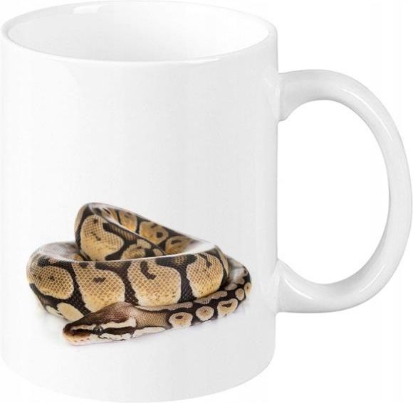 Kubek Wąż Pyton Królewski Python Regius Terrarium - Ceny i opinie ...