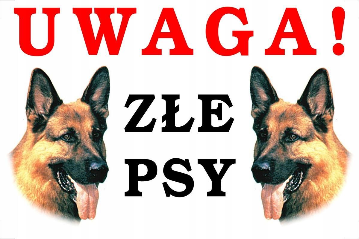 Tabliczka z psem uwaga złe psy 30x20cm #255 - Ceny i opinie - Ceneo.pl