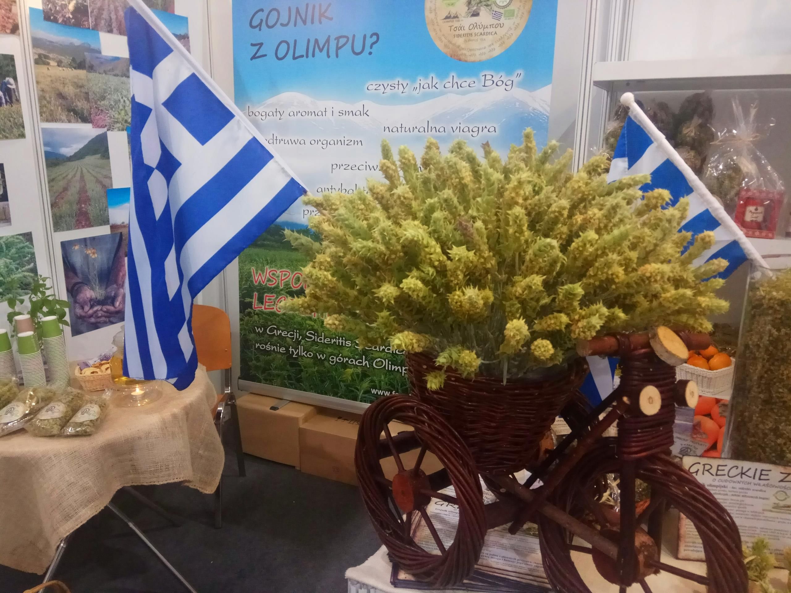 Herbata Gojnik Sideritis scardica herbata grecka 25g Olimp - Ceny i ...