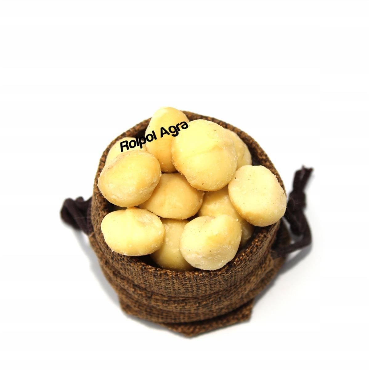 Orzech Macadamia - makadamia -Jakość- 250 g - Ceny i opinie - Ceneo.pl