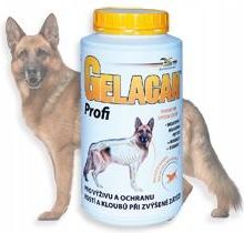 Orling Gelacan Profi z Aquamin 1kg - Ceny i opinie - Ceneo.pl