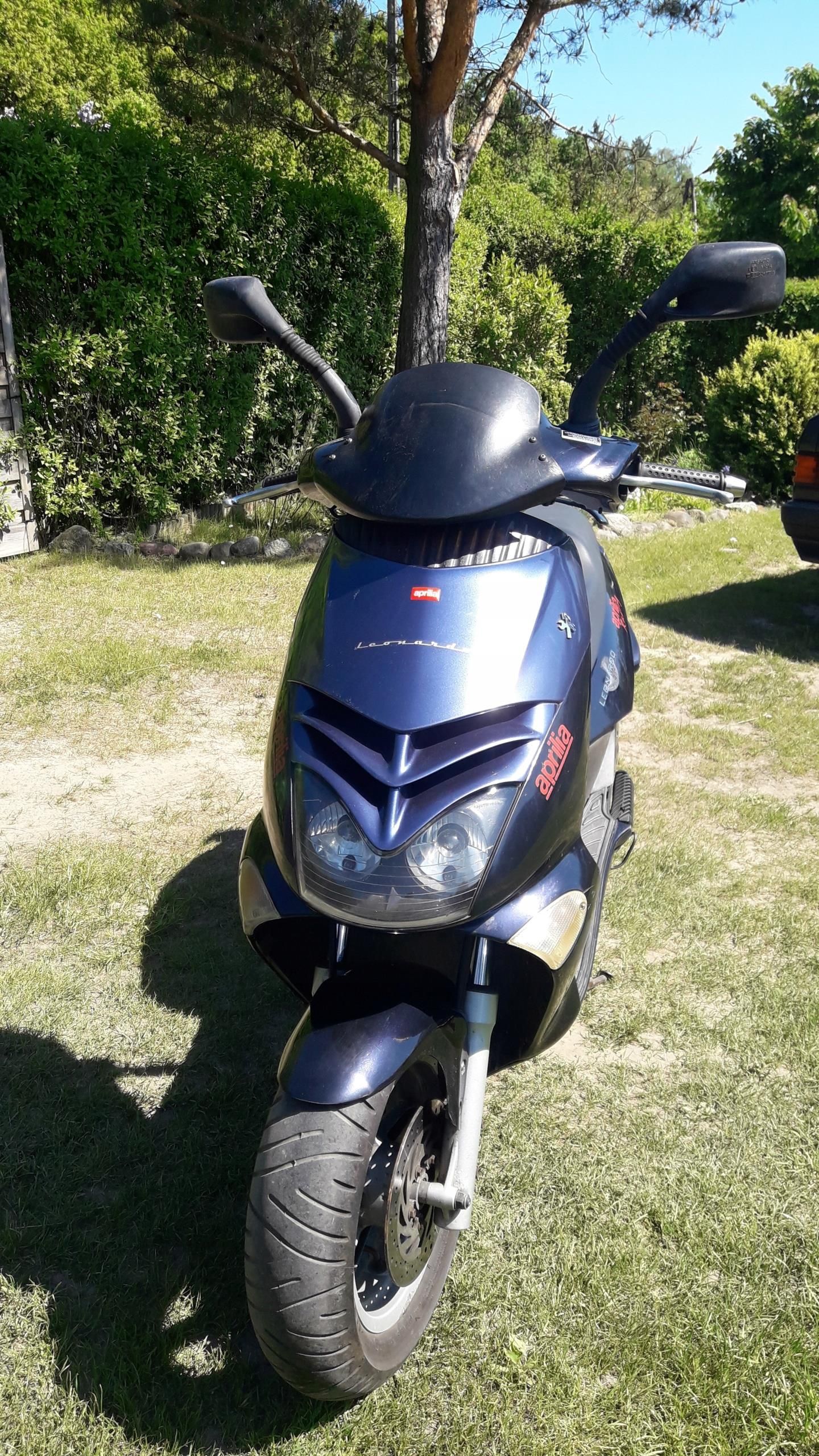 Aprilia Leonardo 125 (MB) - Opinie i ceny na Ceneo.pl