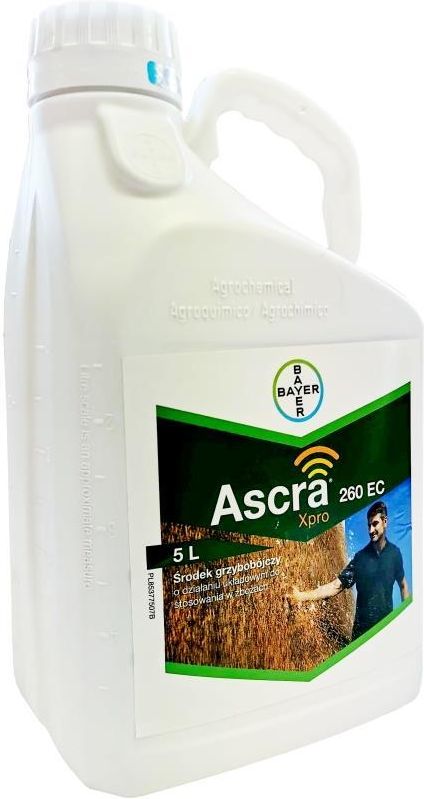 Bayer ASCRA XPRO 260 EC 5L - Ceny i opinie - Ceneo.pl