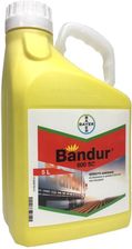 Bayer Bandur 600 SC 5L - Ceny i opinie - Ceneo.pl