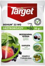 Signum 33 WG Zwalcza Choroby Drzew i Krzewów 50 g - Ceny i opinie ...