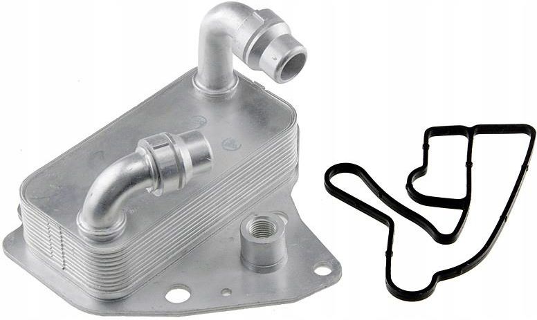 NTY 55236754 - Opinie i ceny na Ceneo.pl