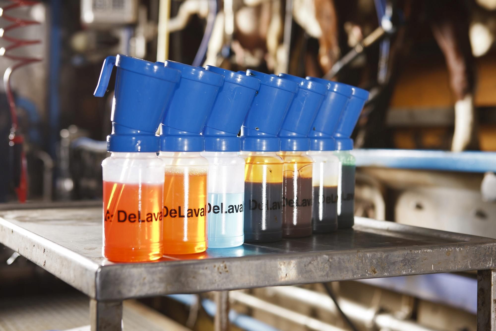 Do hodowli zwierząt Dippingu do wymion koncentrat - Dipal 10L DeLaval - Ceny i opinie - Ceneo.pl