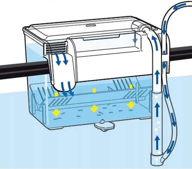 ZEWNĘTRZNY KOTNIK DLA RYB MARKI WAVE A6017048 - Ceny i opinie - Ceneo.pl