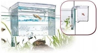 ZEWNĘTRZNY KOTNIK DLA RYB MARKI WAVE A6017048 - Ceny i opinie - Ceneo.pl