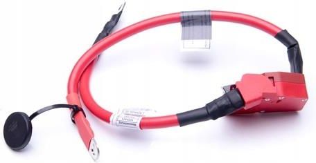 KLEMA PLUSOWA AKUMULATORA BMW 3 F30/F31 2011-, 61129259425 - Opinie i ...