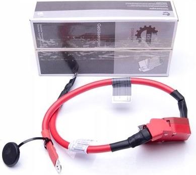 KLEMA PLUSOWA AKUMULATORA BMW 3 F30/F31 2011-, 61129259425 - Opinie i ...