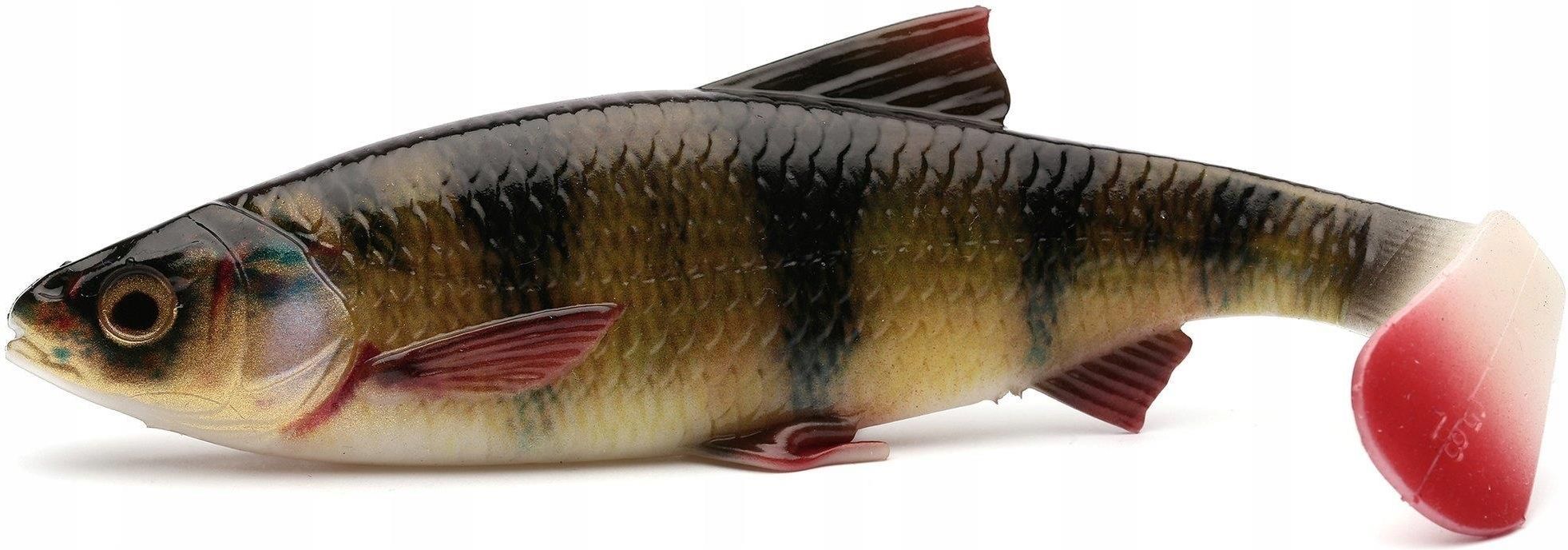 SAVAGE GEAR 4D RIVER ROACH - PERCH-22,0 CM 63713 - Ceny i opinie - Ceneo.pl