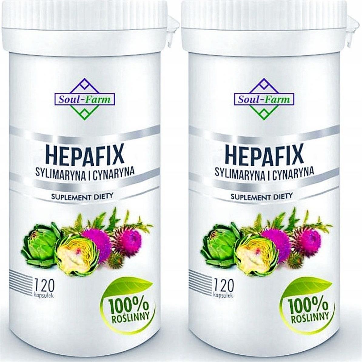 Preparat medycyny naturalnej Soul Farm Premium Hepafix 120 kapsułek ...