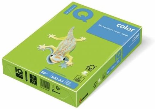 Papier Maestro Color A4/160G Intens Zielony (250) X09623 - Ceny i ...