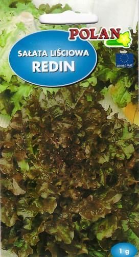 Polan Sałata Liściowa Dębolistna Redin 1G - Ceny i opinie - Ceneo.pl
