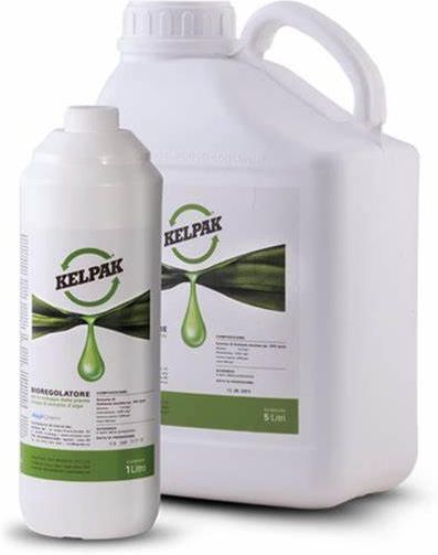 Kelpak SL 1L - Ceny i opinie - Ceneo.pl