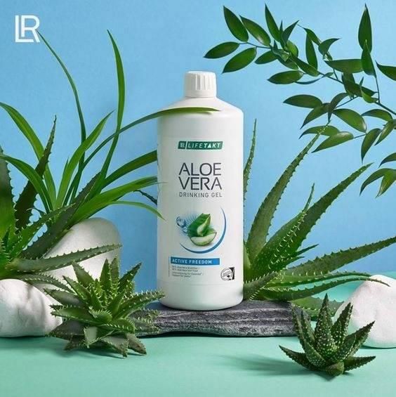 Lr Health&Beauty Lifetakt Aloe Vera Drinking Gel Active Freedom 6X1L ...