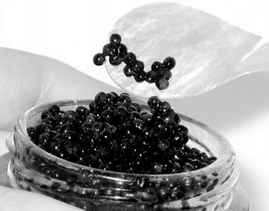 Santa Bremor - kulki a'la kawior z jesiotra 230g - Ceny i opinie - Ceneo.pl