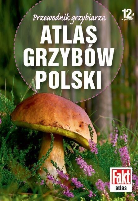 Atlas Grzybów - Ceny i opinie - Ceneo.pl