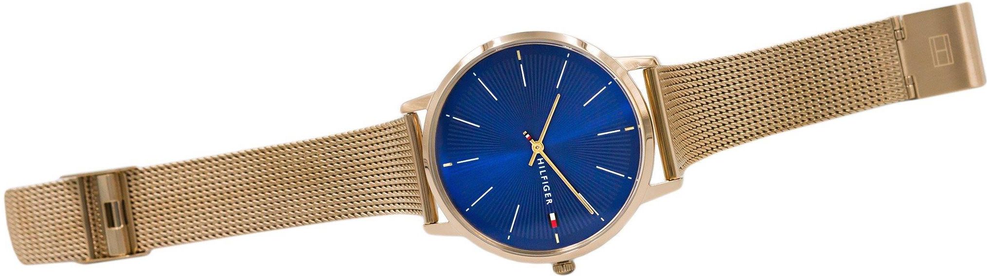 TOMMY HILFIGER ALEX 1782246 - Zegarki Damskie - Ceny i opinie - Ceneo.pl